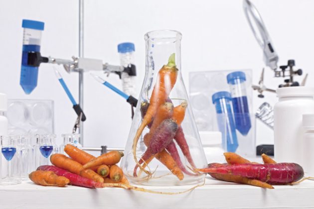 Kosher In The Lab // A Food Scientist Reveals the Secrets of the Food ...